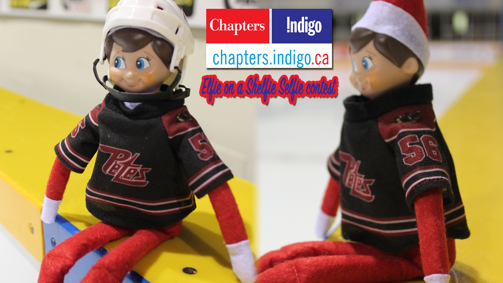 Fans can Win with the Chapters Elfie on a Shelfie Selfie Contest ...