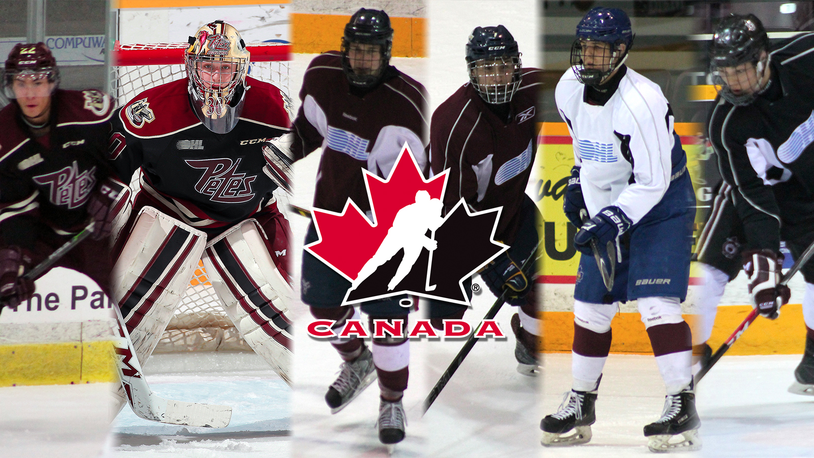Six Petes Invited to Hockey Canada Development Camps - Peterborough Petes