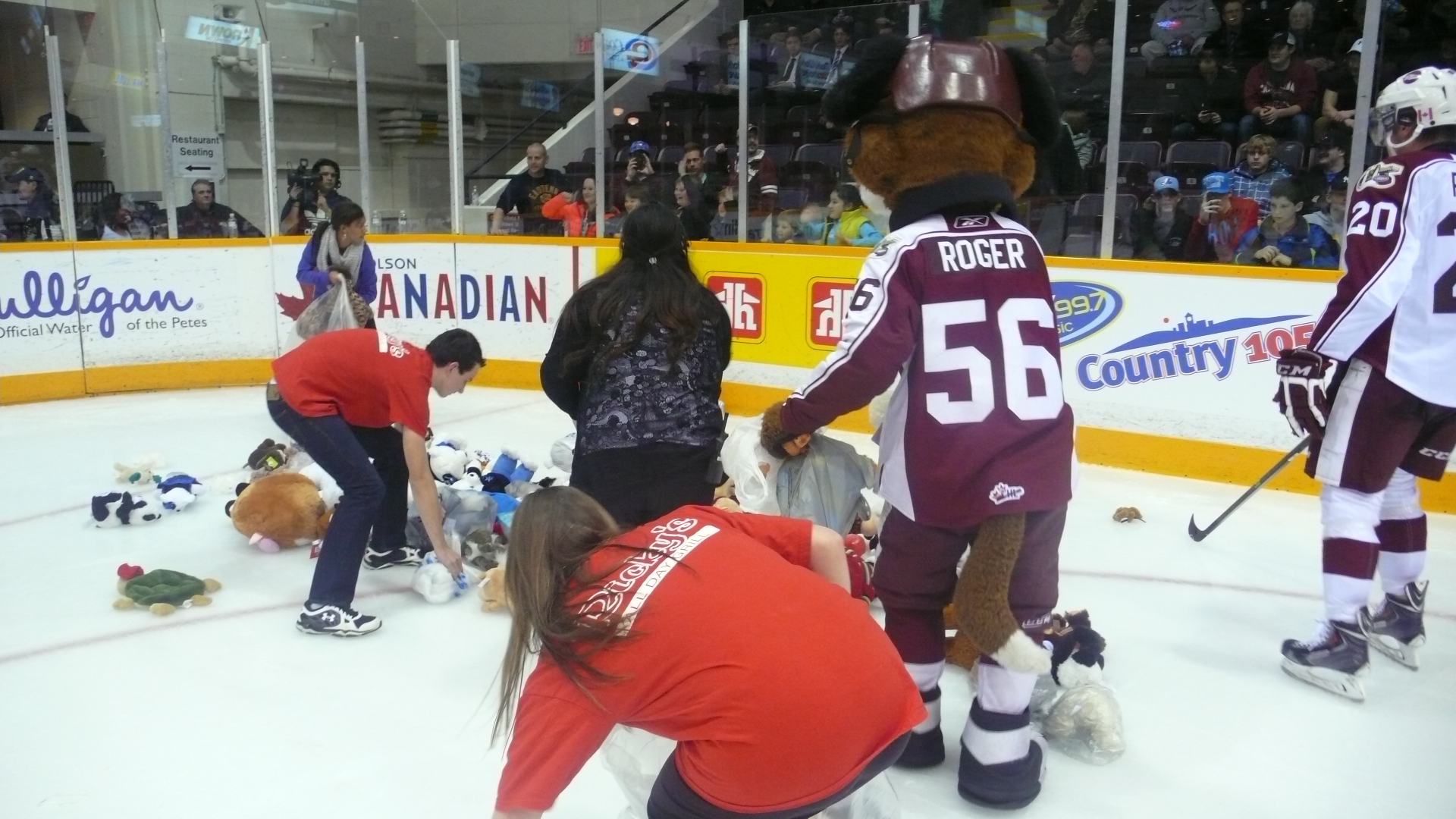 Petes Collect Two Thousand Toys in Annual Teddy Bear Toss ...