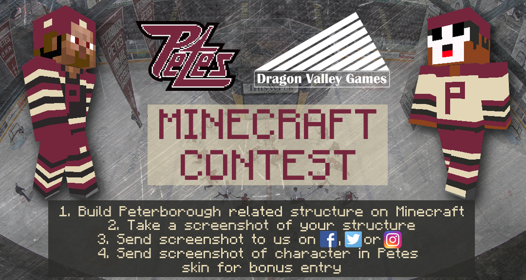 Participate in the Dragon Valley Games Minecraft Video Game Contest ...