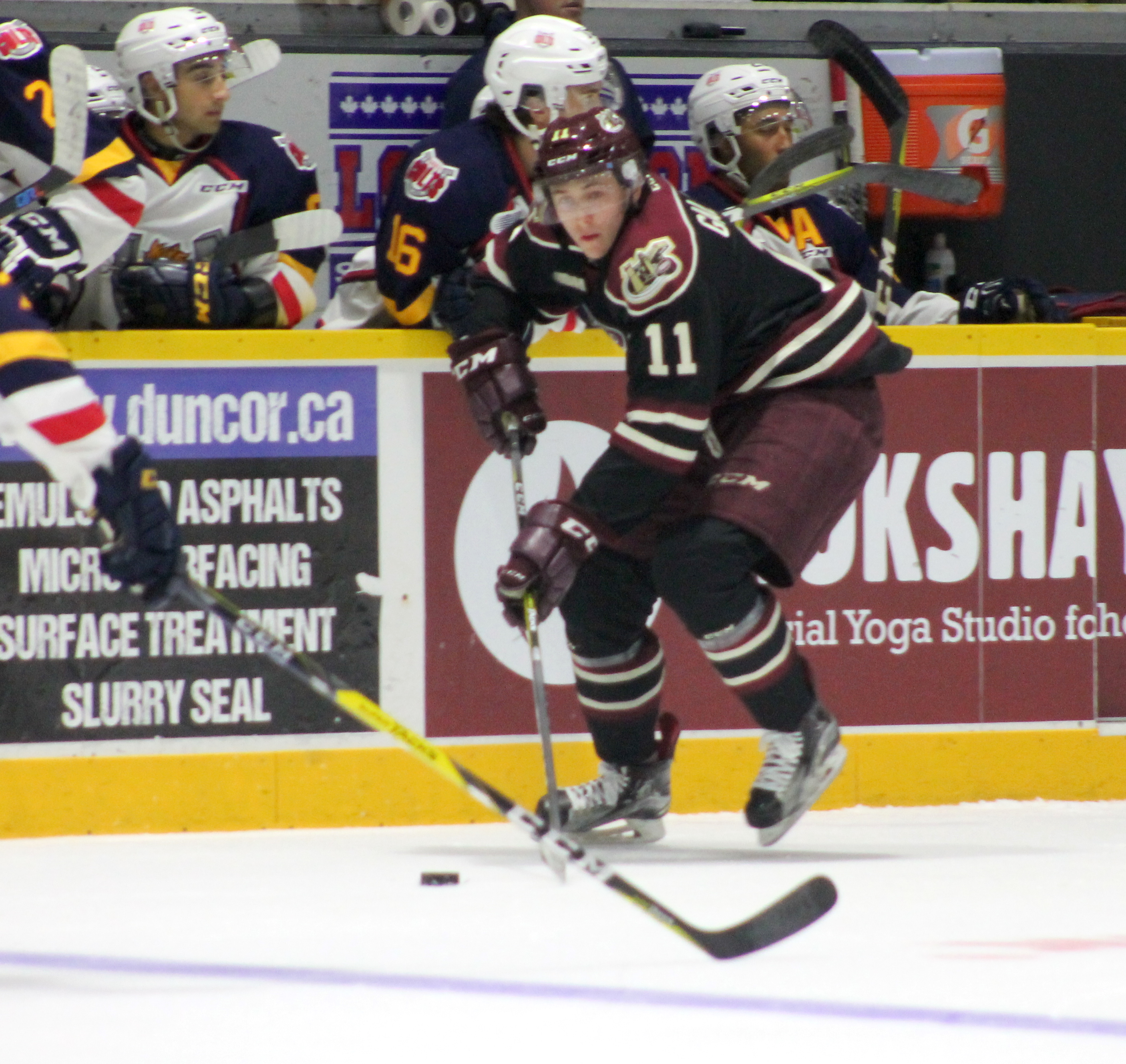 Gallant Ready to Step Up in Season Two - Peterborough Petes