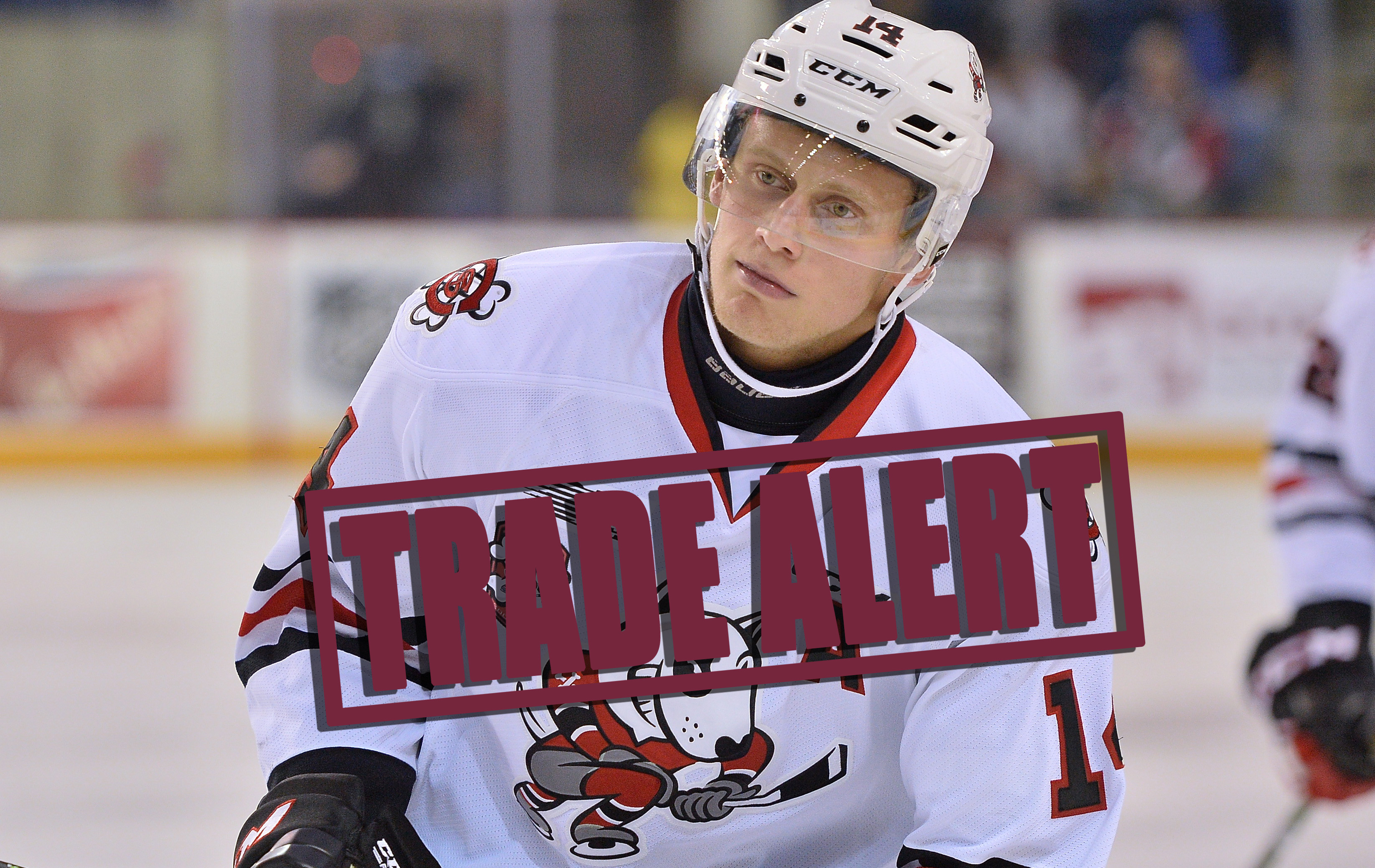 Petes Acquire Chris Paquette from Niagara IceDogs - Peterborough Petes