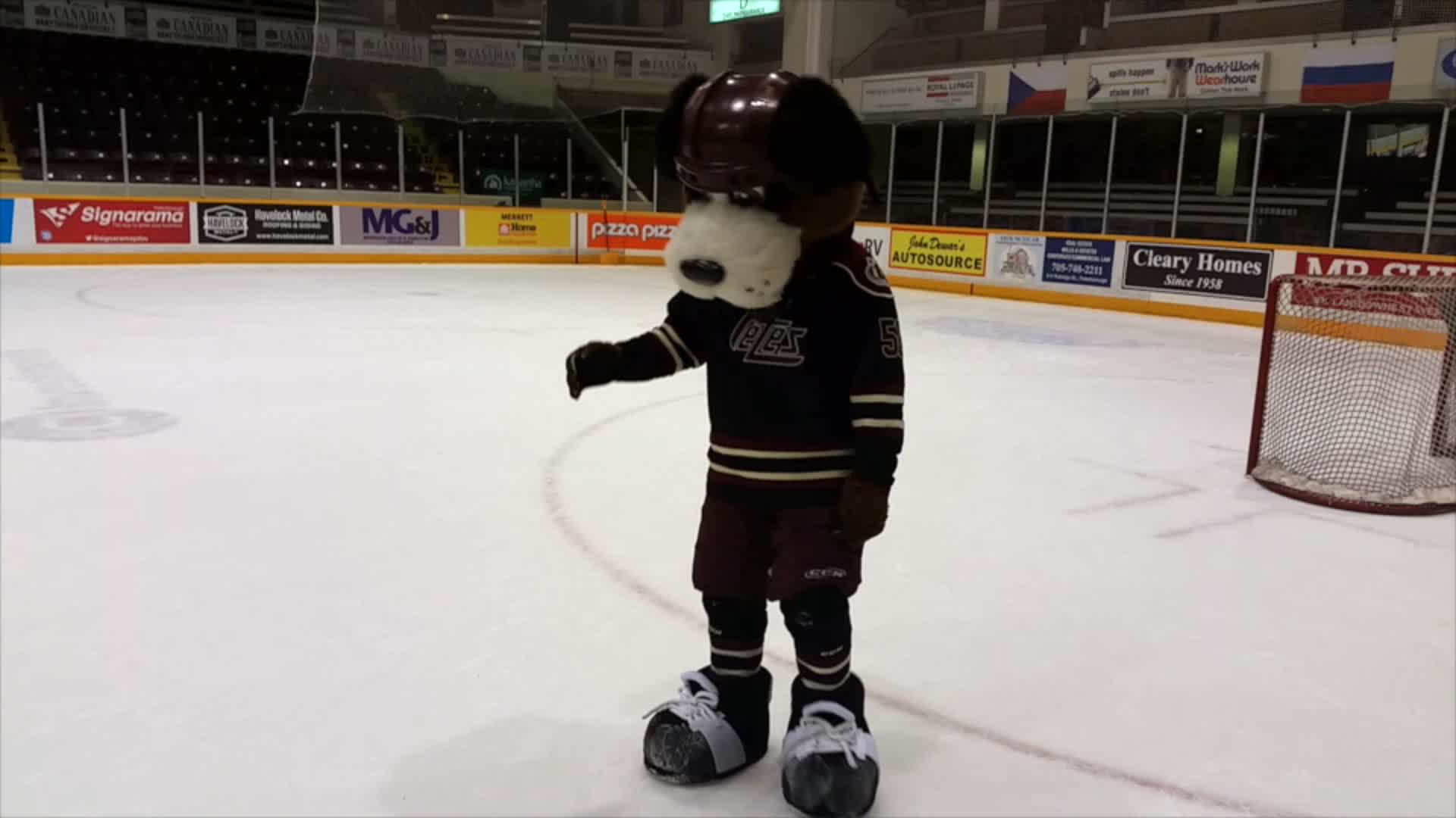 Happy Groundhog Day! - Will Roger see his shadow? - Peterborough Petes