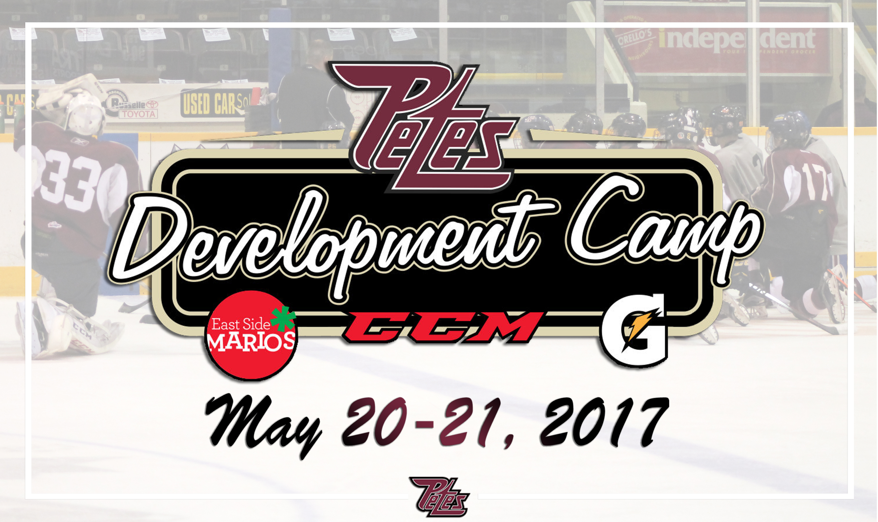 Petes 2017 Development Camp and Season Ticket Open House Schedule ...