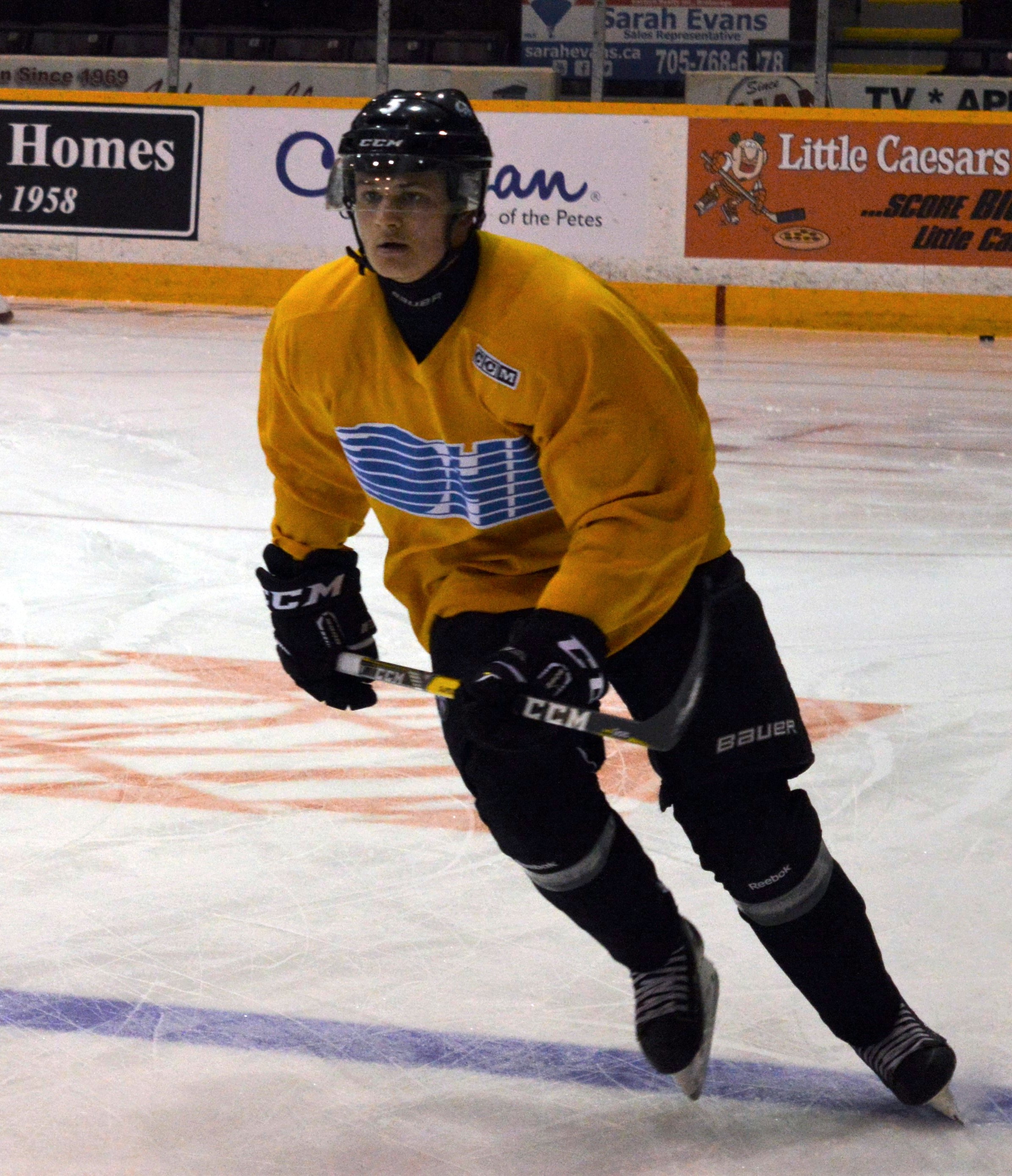 Petes Sign Supryka and Beraldo to Standard Player Agreements ...