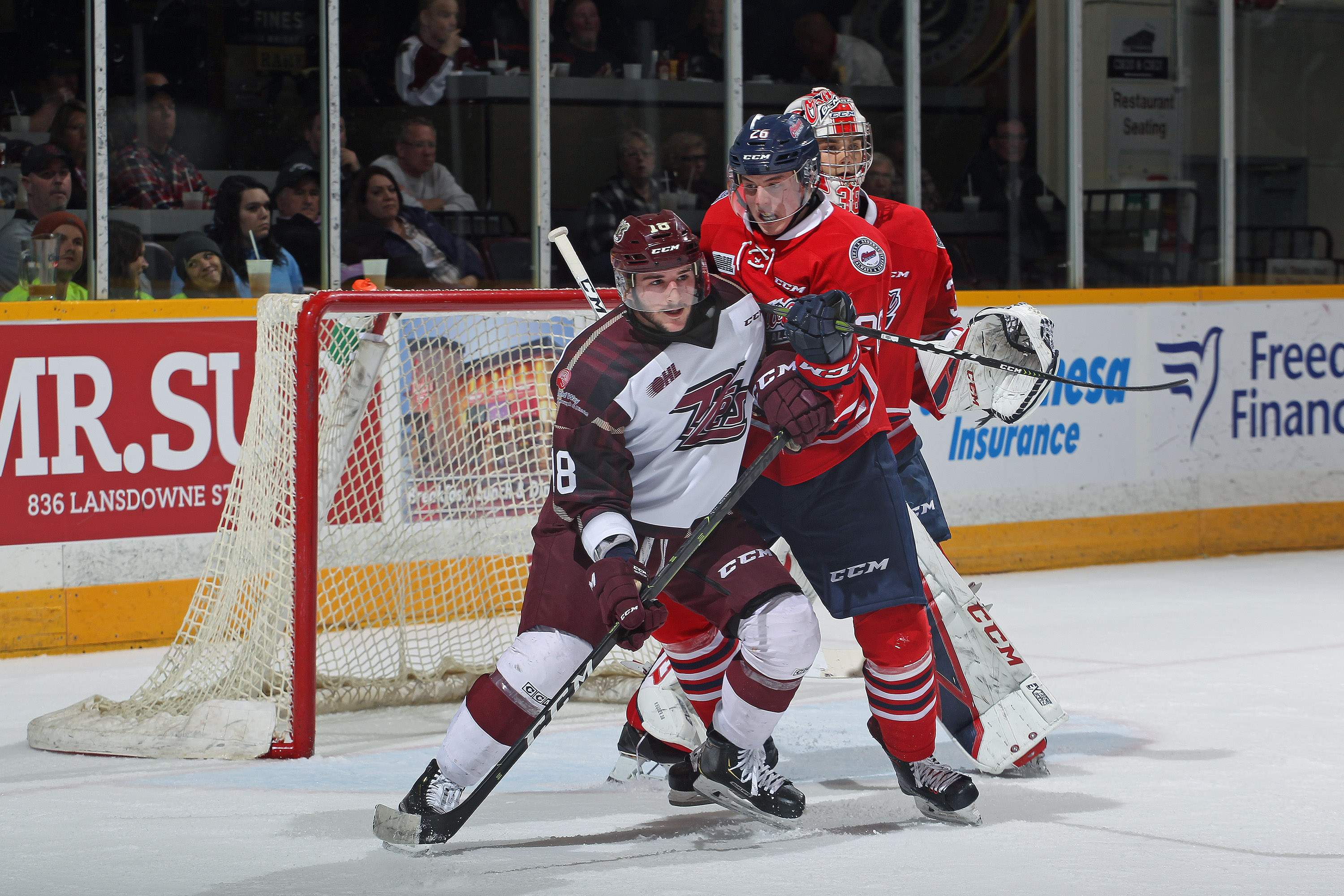 Petes Victorious on Second Annual Plaid Night - Peterborough Petes