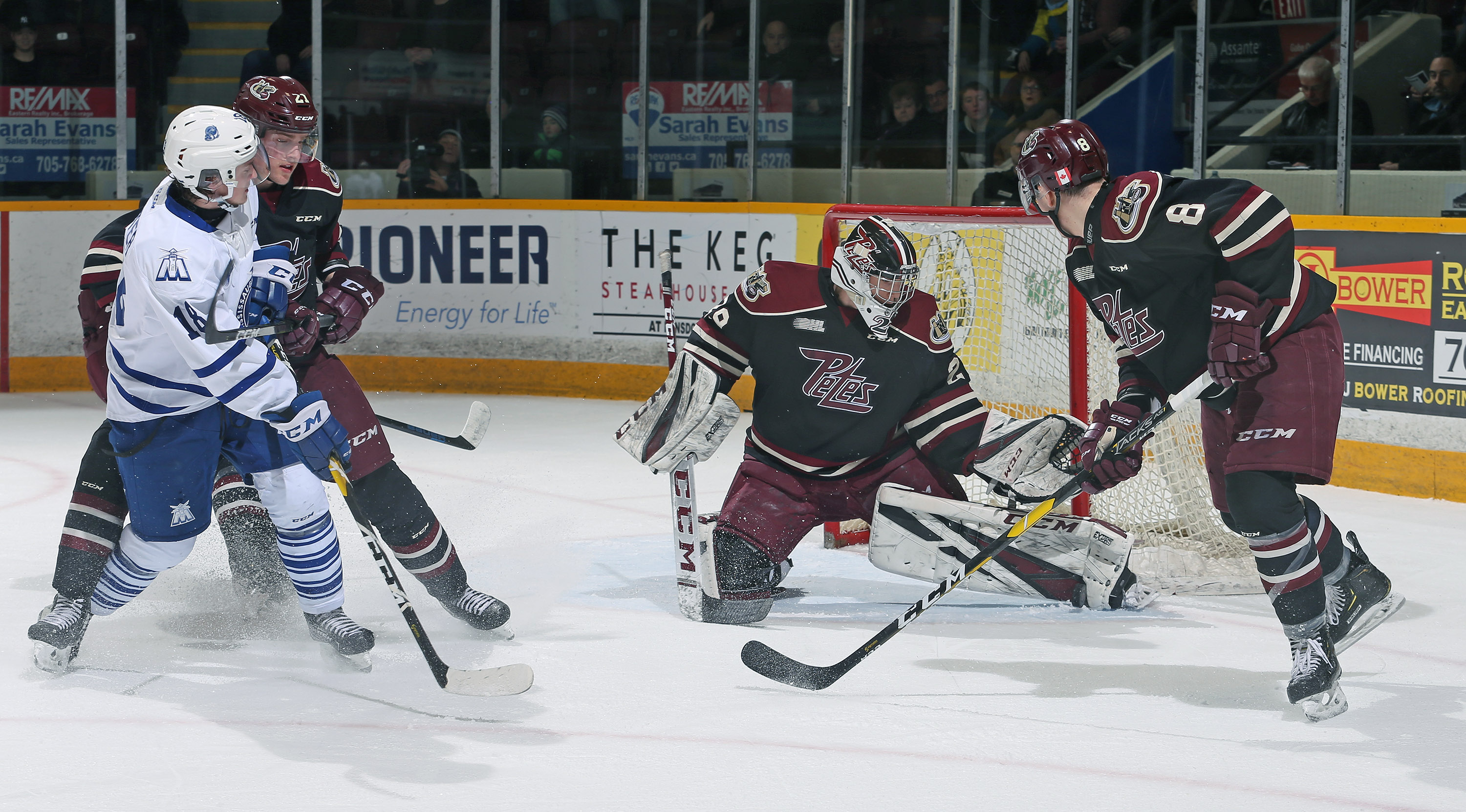 Steelheads Successful over Petes in Second Shootout - Peterborough Petes
