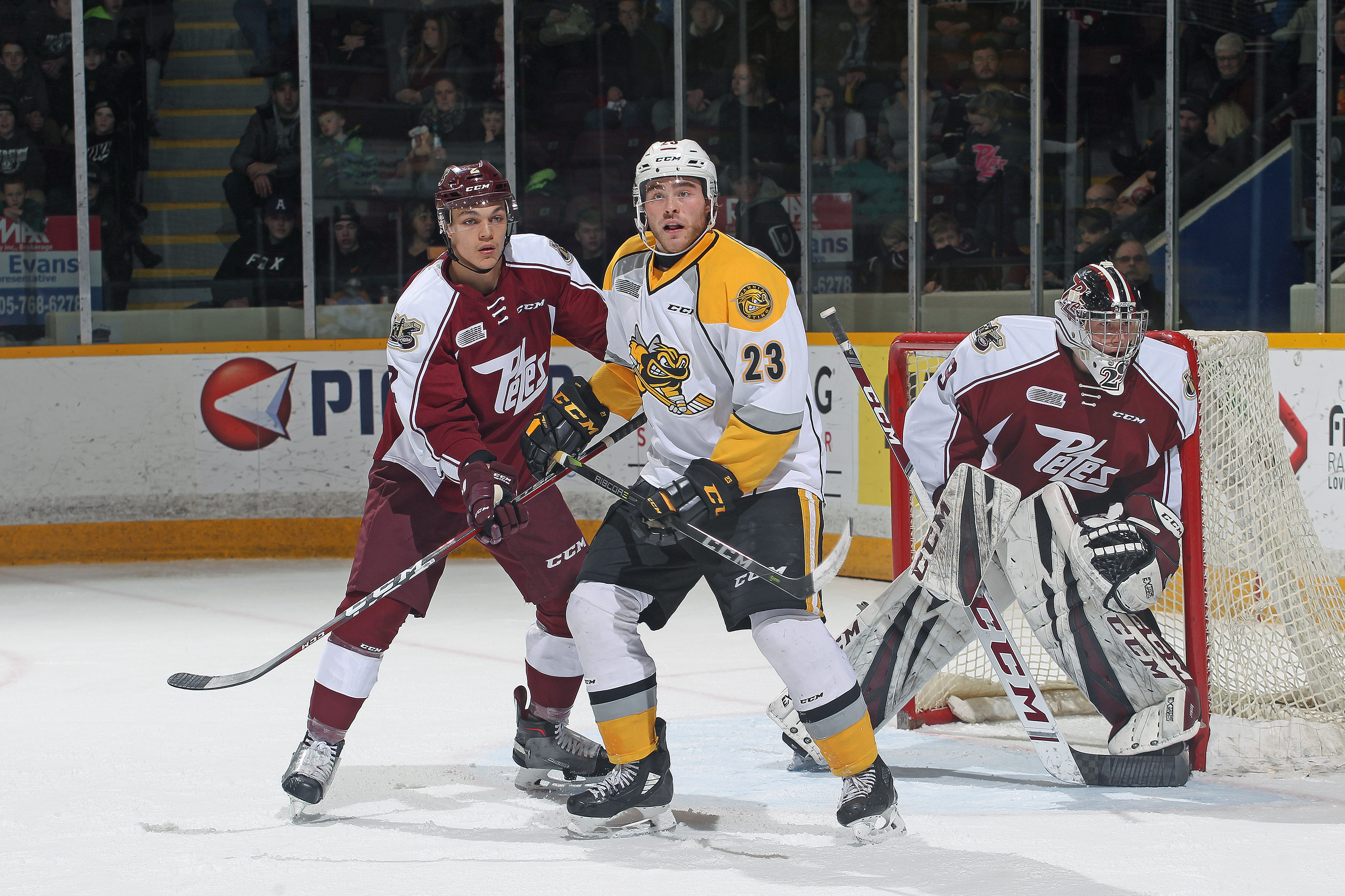 Petes Find Offence Against Sting to Snap Streak - Peterborough Petes