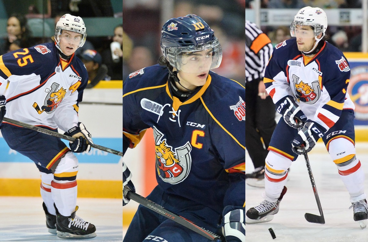 Colts Blandisi, Laser and Hooey wrap up junior careers - Barrie Colts