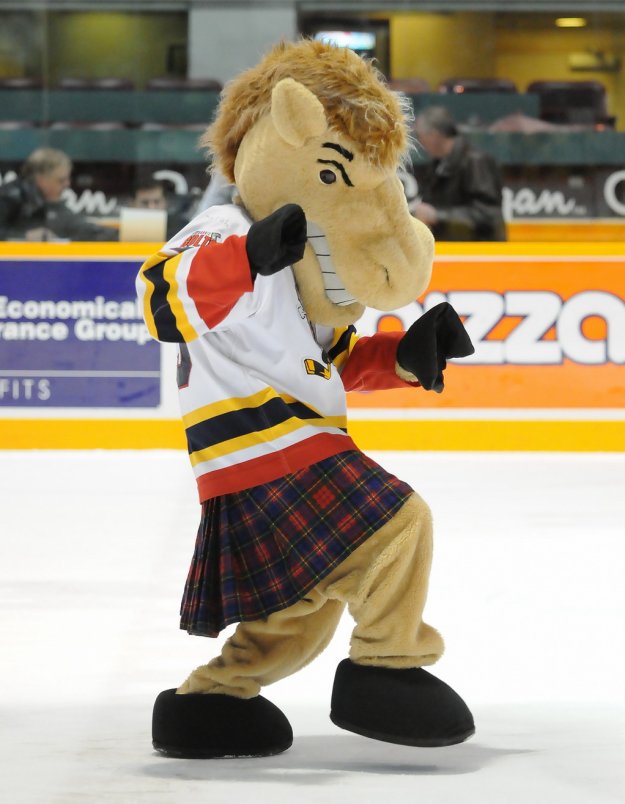 A Day in the Life of Charlie Horse - Barrie Colts
