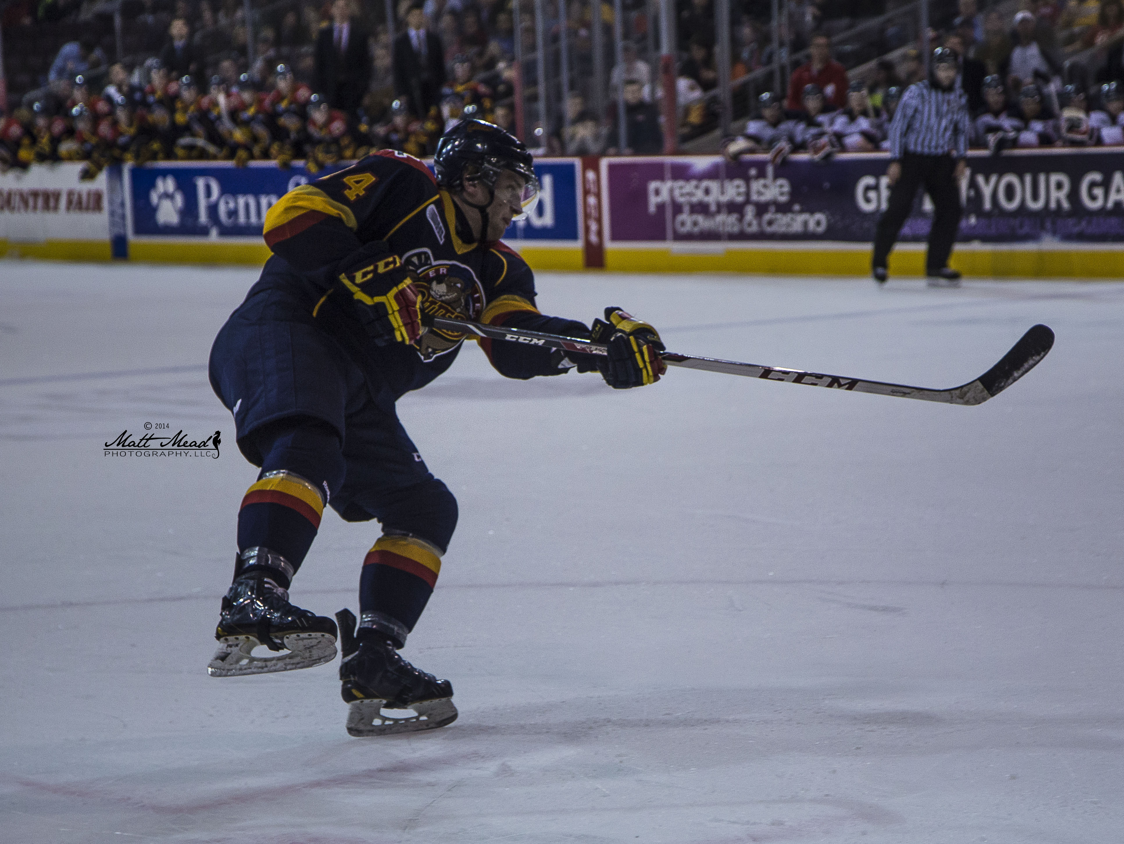 Dane Fox Named Overage Player of the Year - Erie Otters