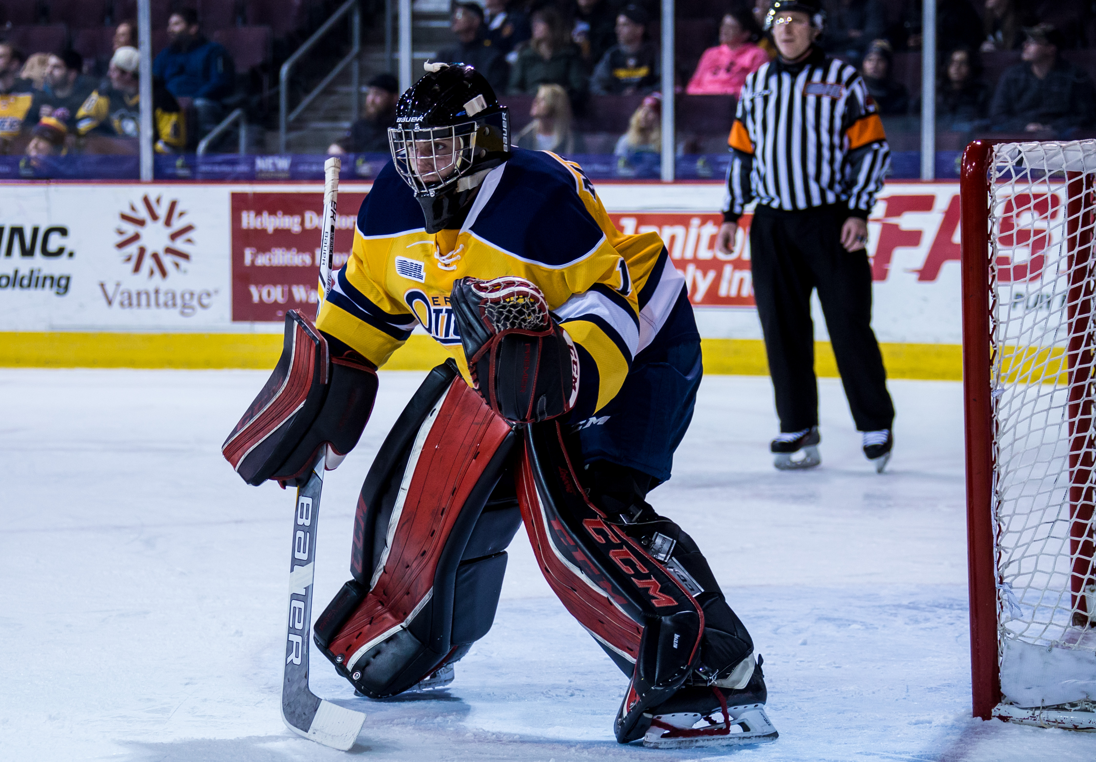 Otters Weather the Storm - Erie Otters