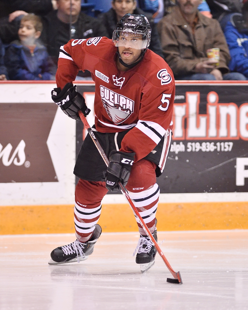 Storm bit by Ice Dogs - Guelph Storm