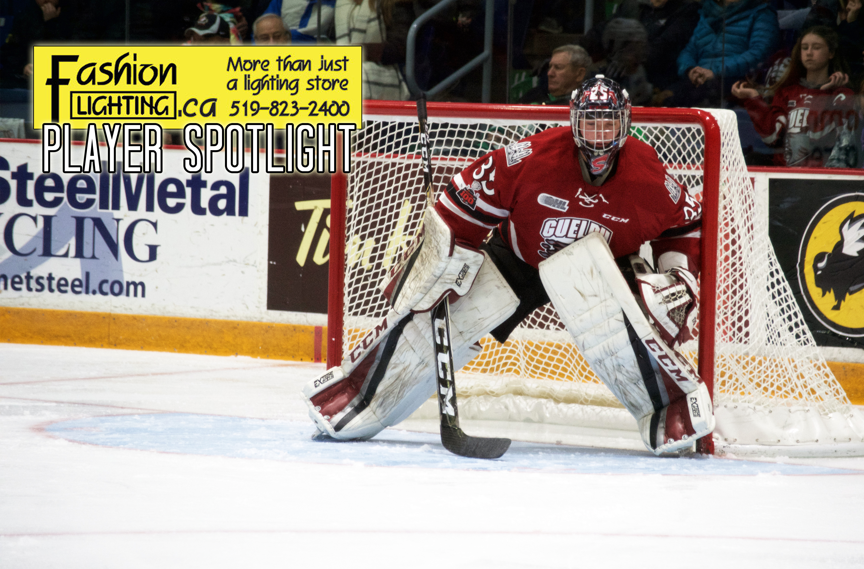 Fashion Lighting Player Spotlight: Nico Daws - Guelph Storm