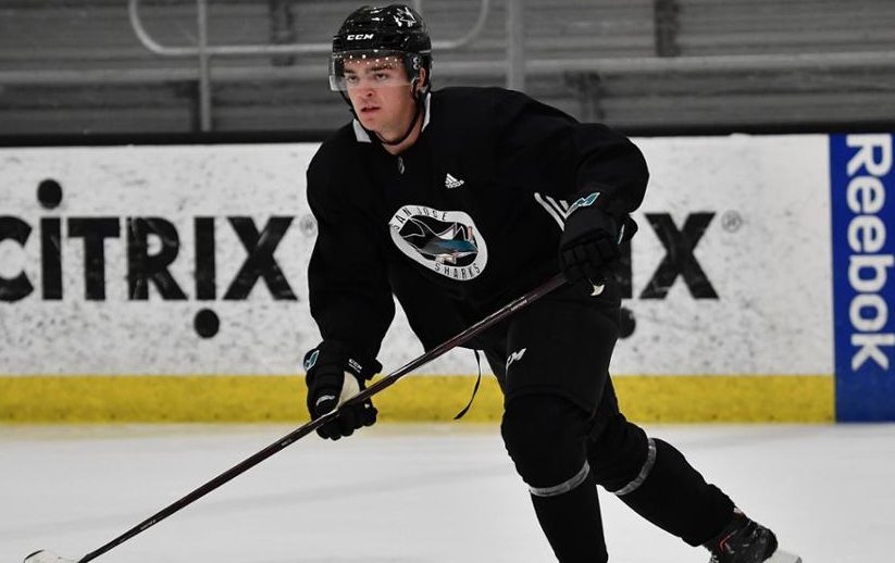 Storm defenceman Ryan Merkley signs with Sharks - Guelph Storm