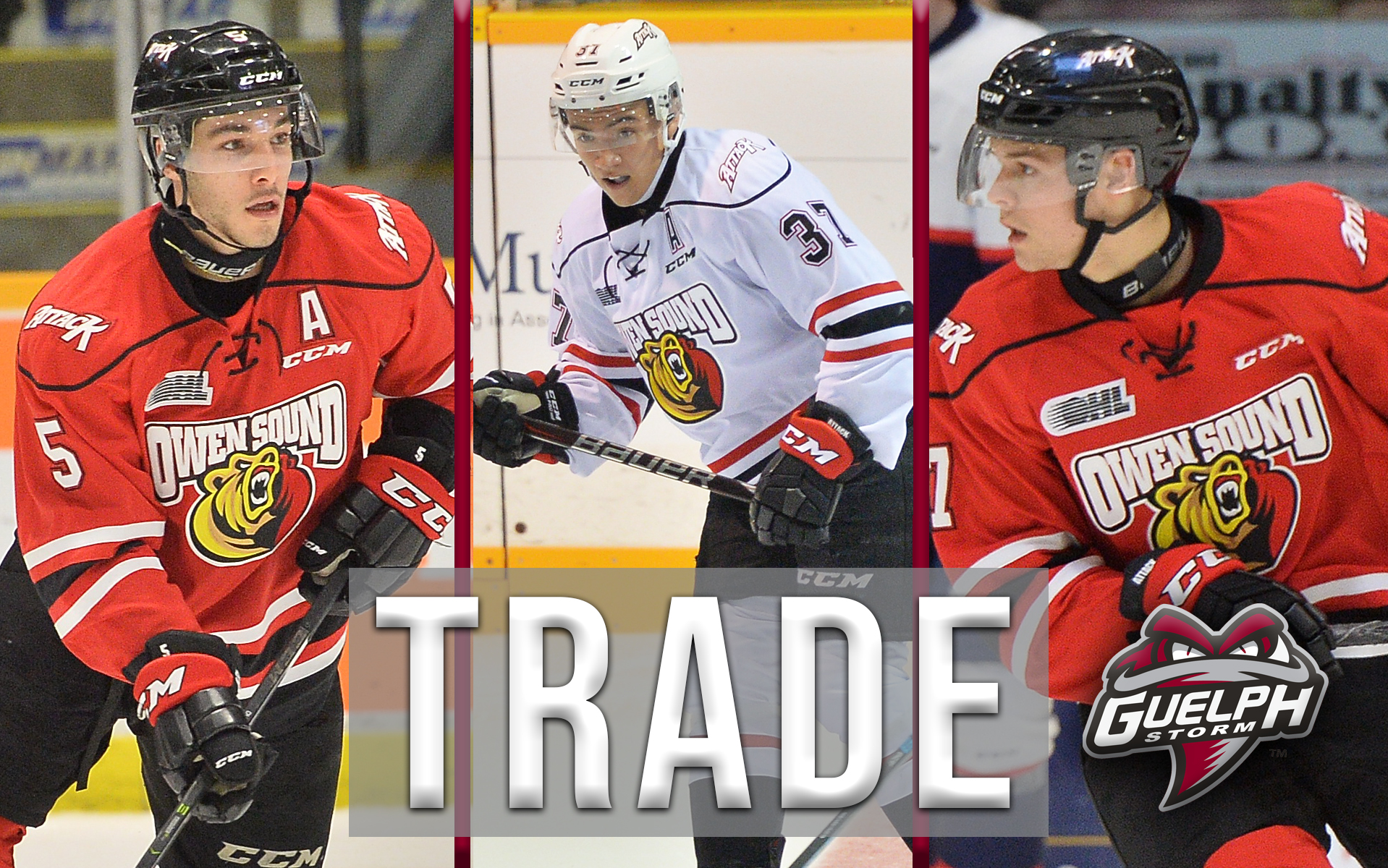 Storm acquire Nick Suzuki, Sean Durzi, and Zach Roberts from the Owen ...