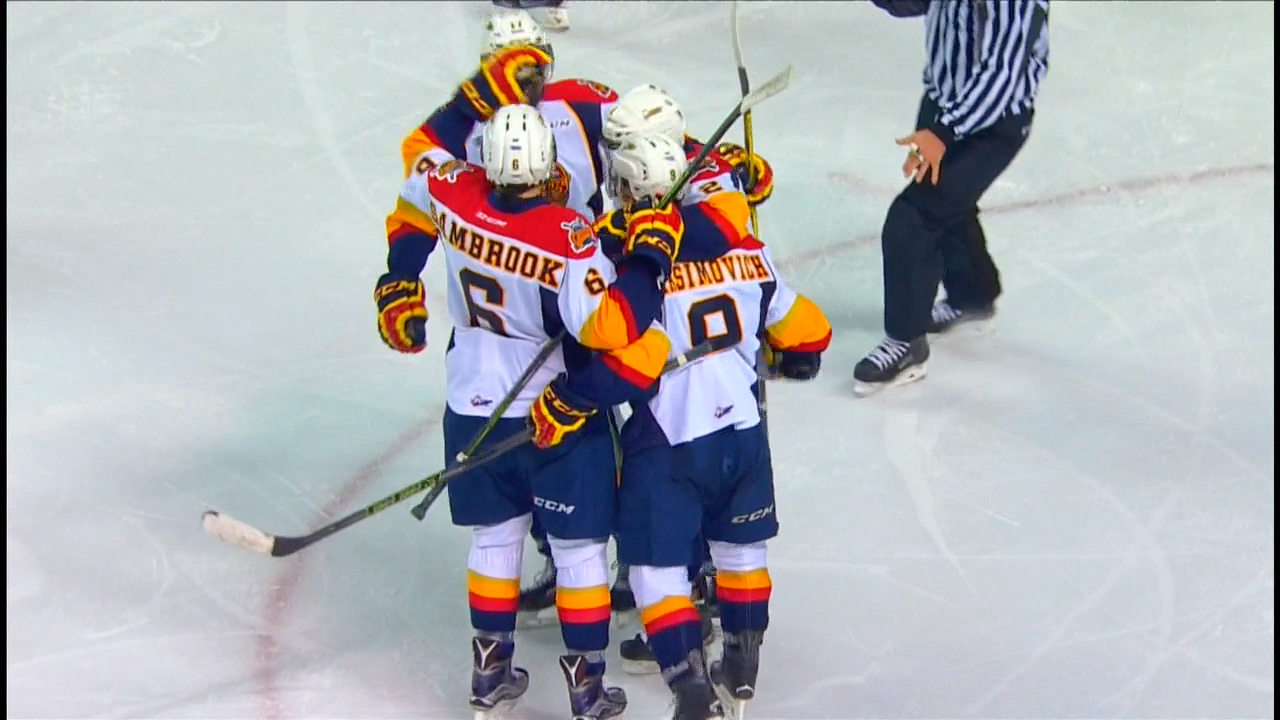 JAN. 3 Erie at Hamilton - Brantford Bulldogs
