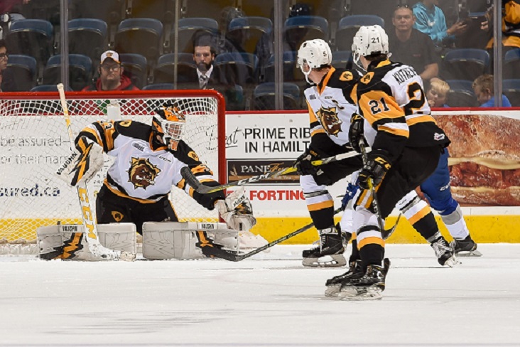 FULCHER SHINES IN WIN OVER WOLVES - Brantford Bulldogs