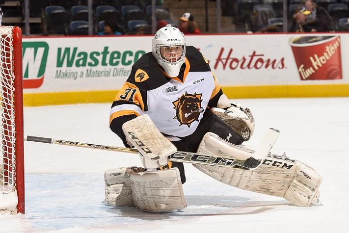 ROOKIE GOALIE COLE CECI GETS FIRST OHL WIN - Brantford Bulldogs