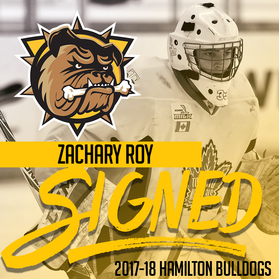 BULLDOGS SIGN GOALIE PROSPECT ZACHARY ROY - Brantford Bulldogs