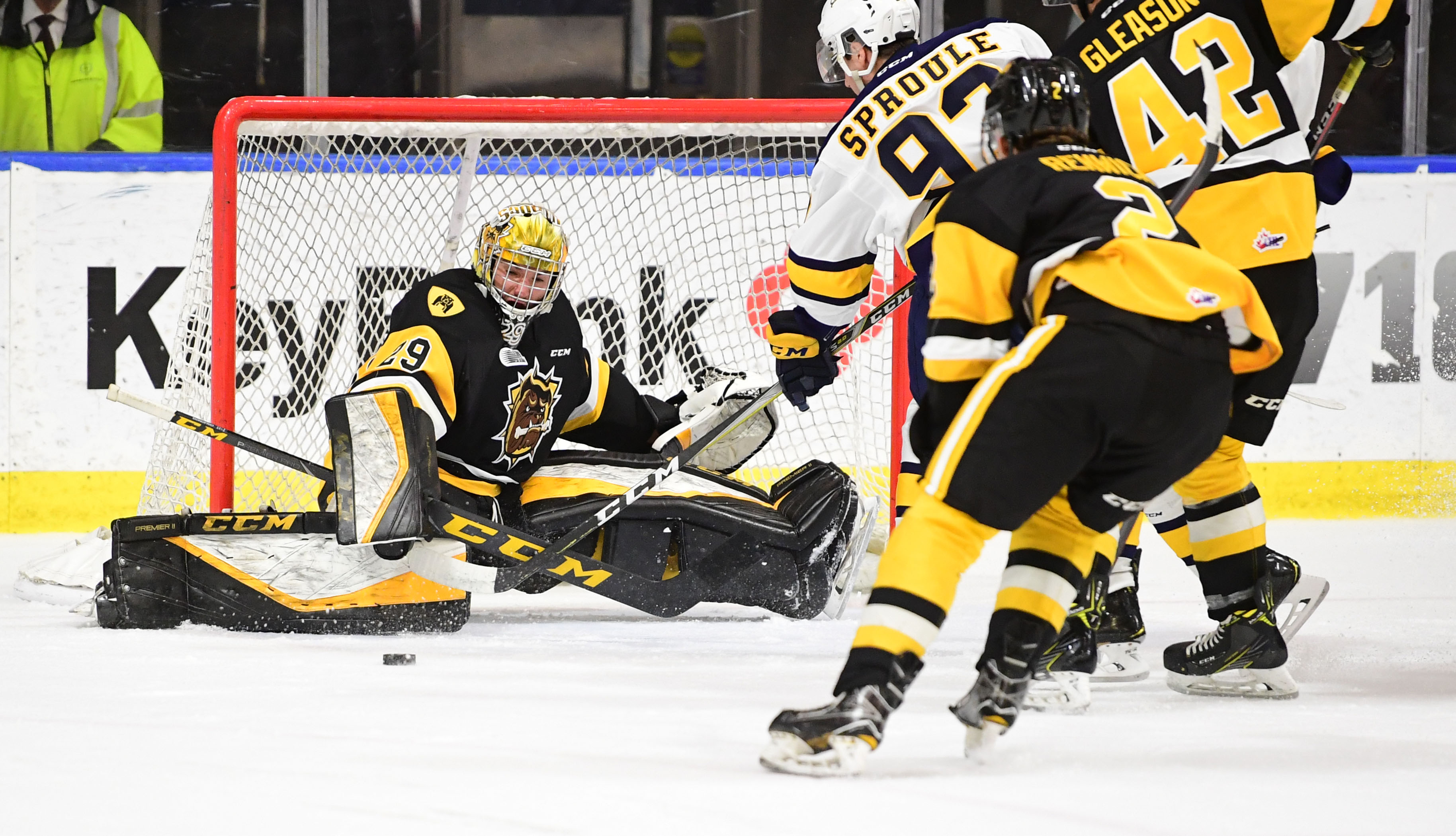 BULLDOGS OPEN PRE-SEASON AT OHL SHOWCASE IN BUFFALO, NY - Brantford ...