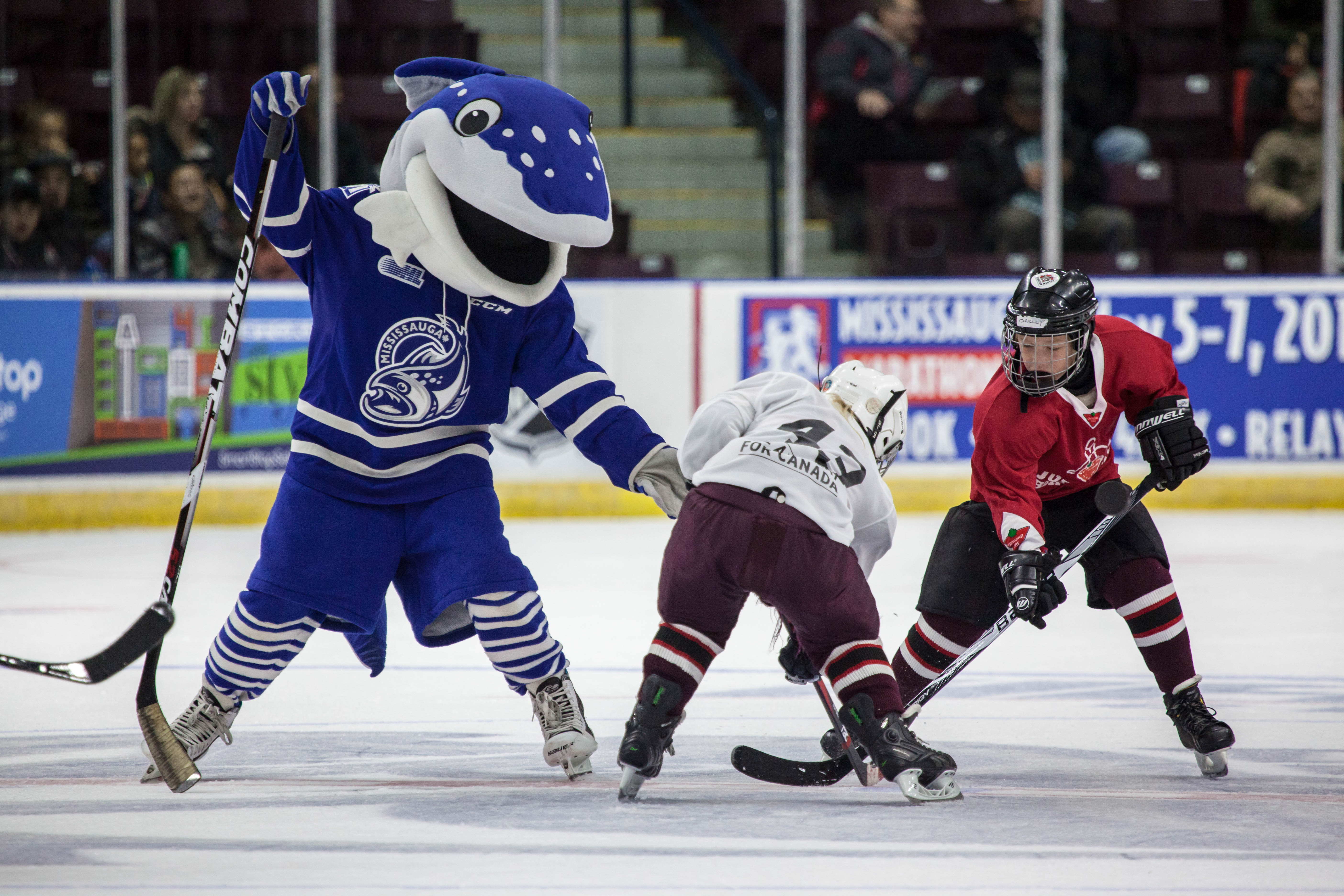 Timbits Mini-Game - Mississauga Steelheads