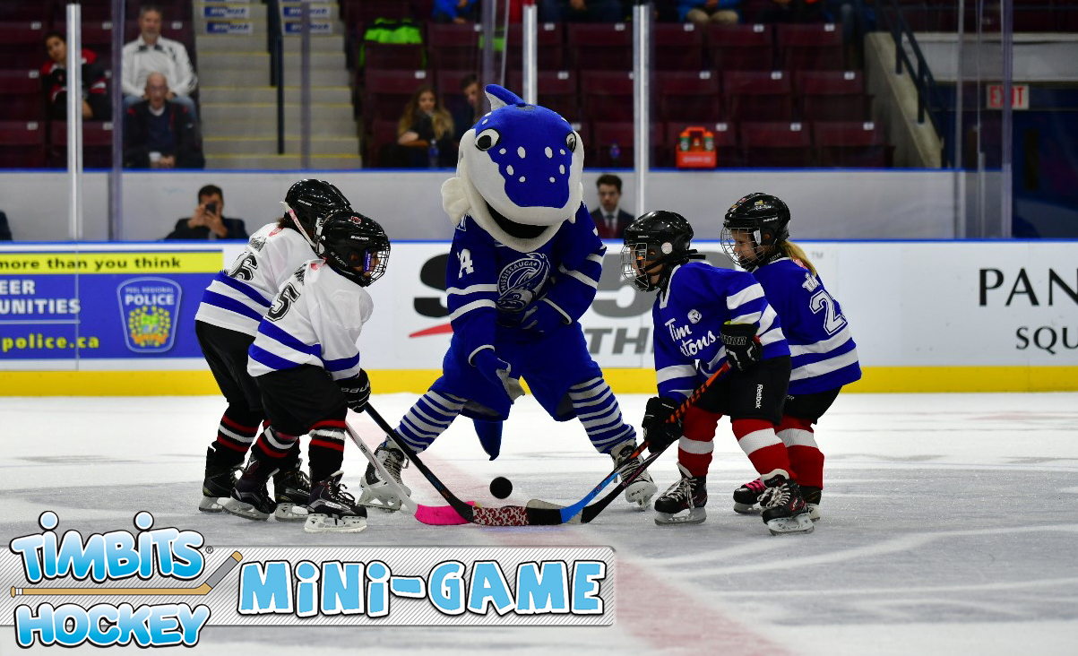 Timbits Mini-Game - Mississauga Steelheads
