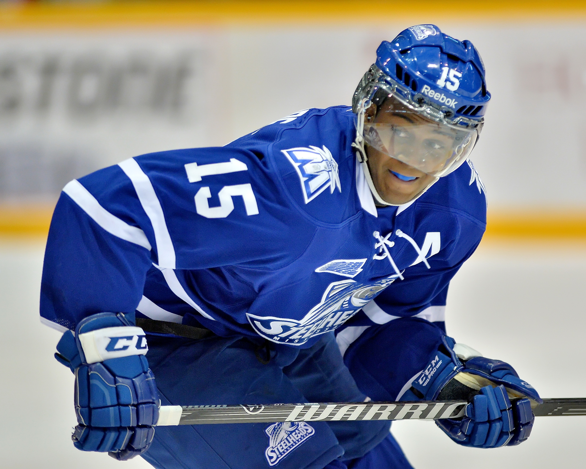 Steelheads Ice Dogs - Brampton Steelheads