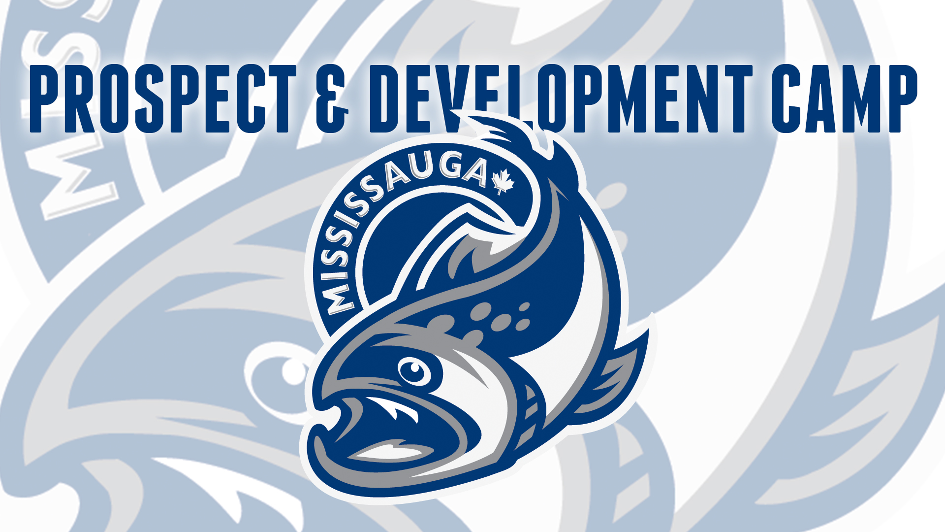 Steelheads Announce Prospect & Development Camp - Brampton Steelheads
