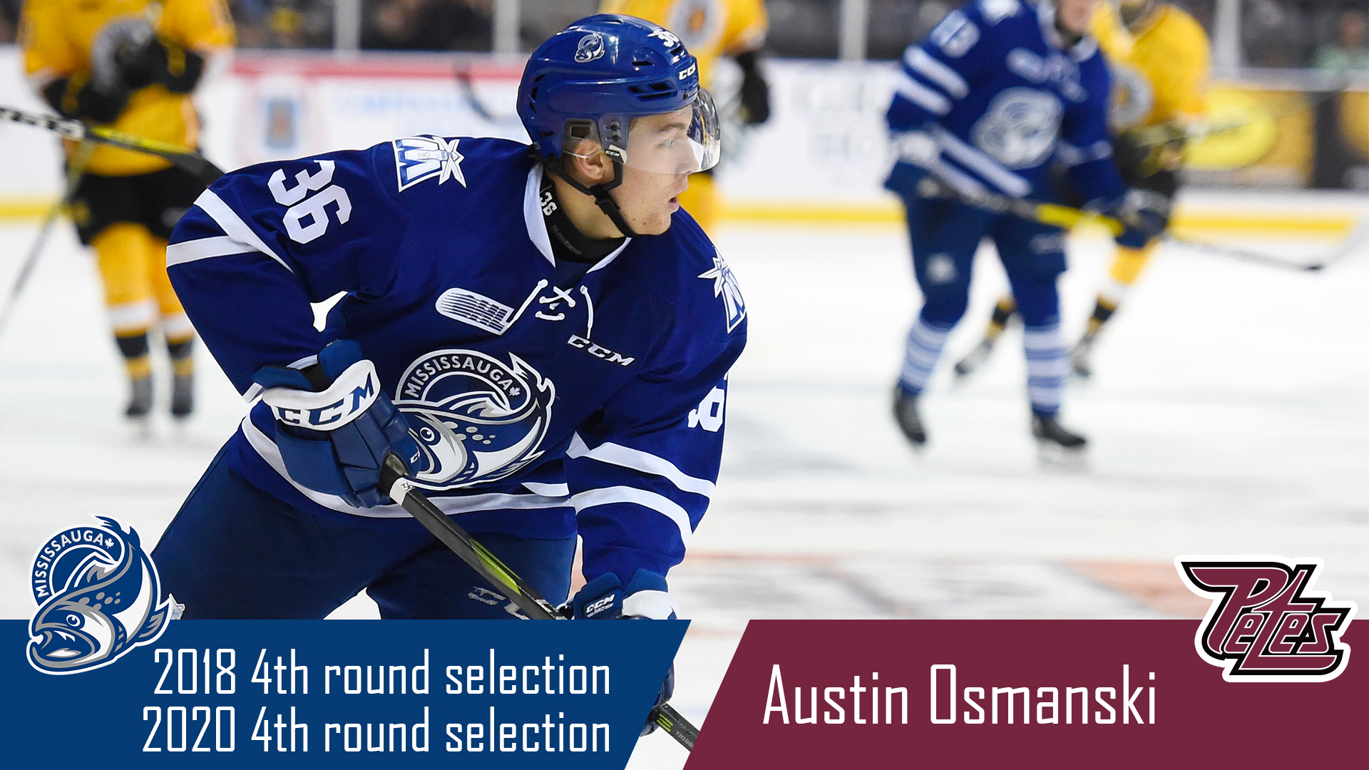 Steelheads, Petes Complete Trade - Brampton Steelheads