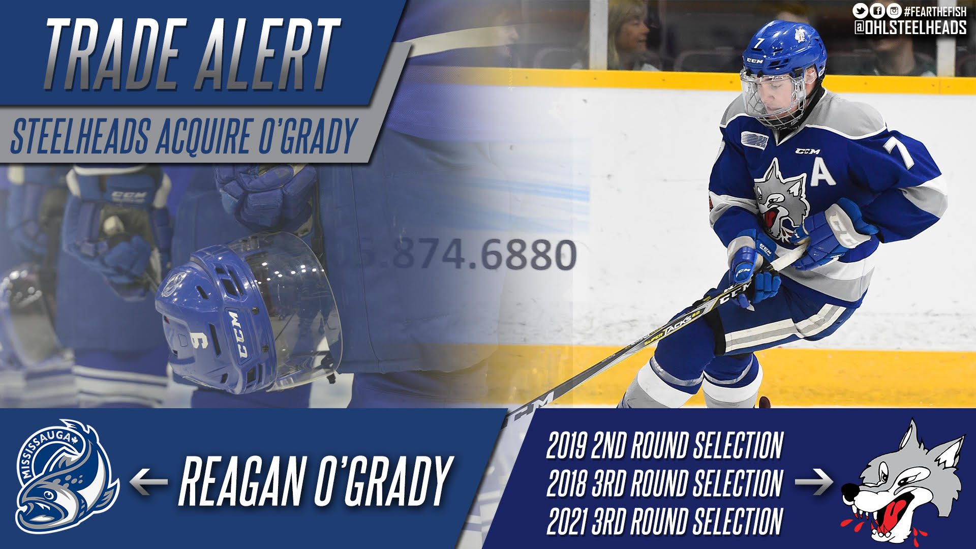 Steelheads Acquire O'Grady from Wolves - Brampton Steelheads