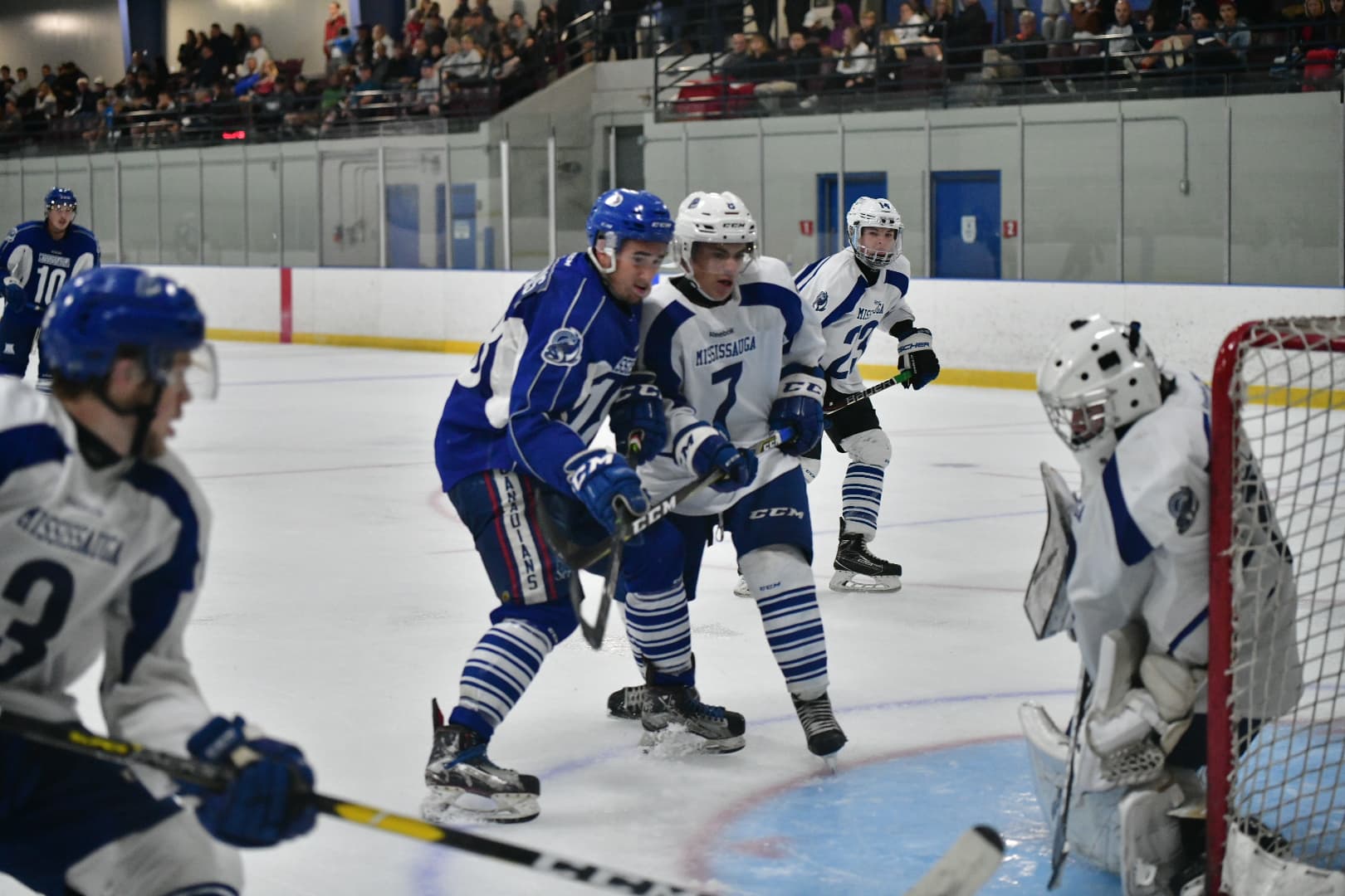 Callaghan, Whitson and Zuyev commit to Steelheads - Brampton Steelheads