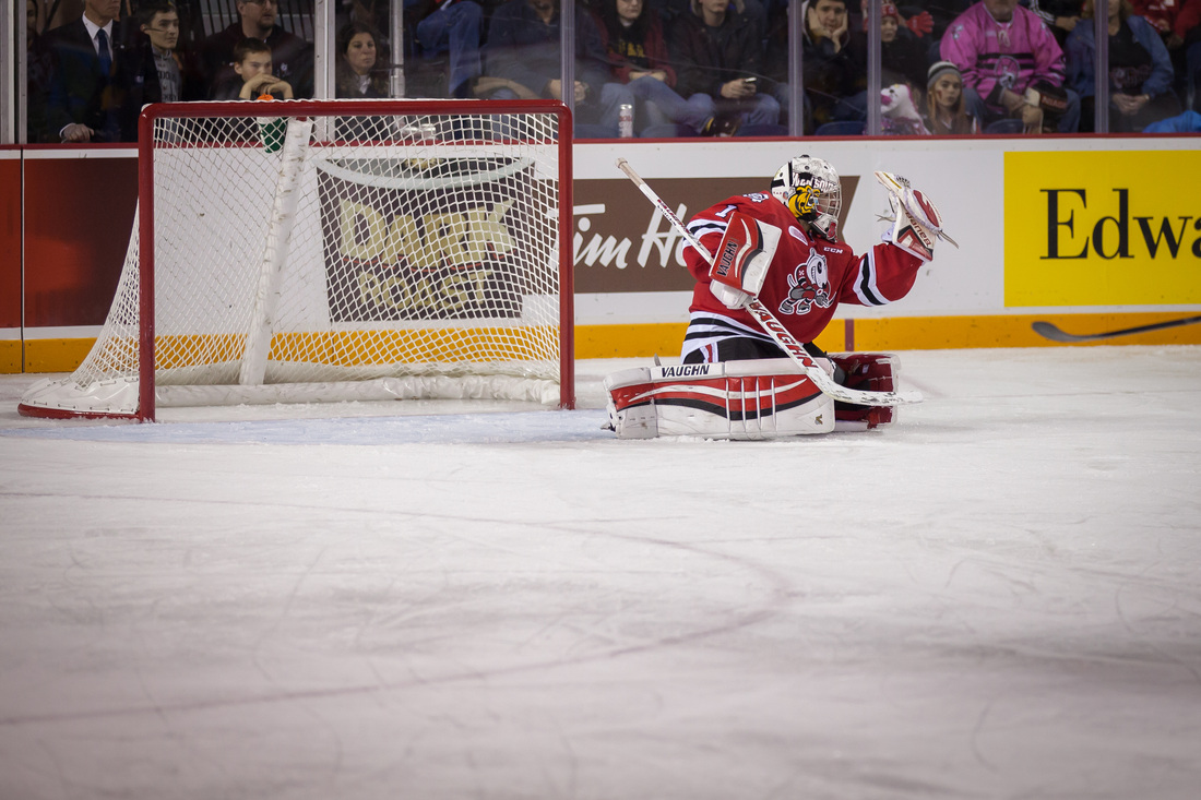 Hope Wins Goaltender of the Month - Niagara IceDogs
