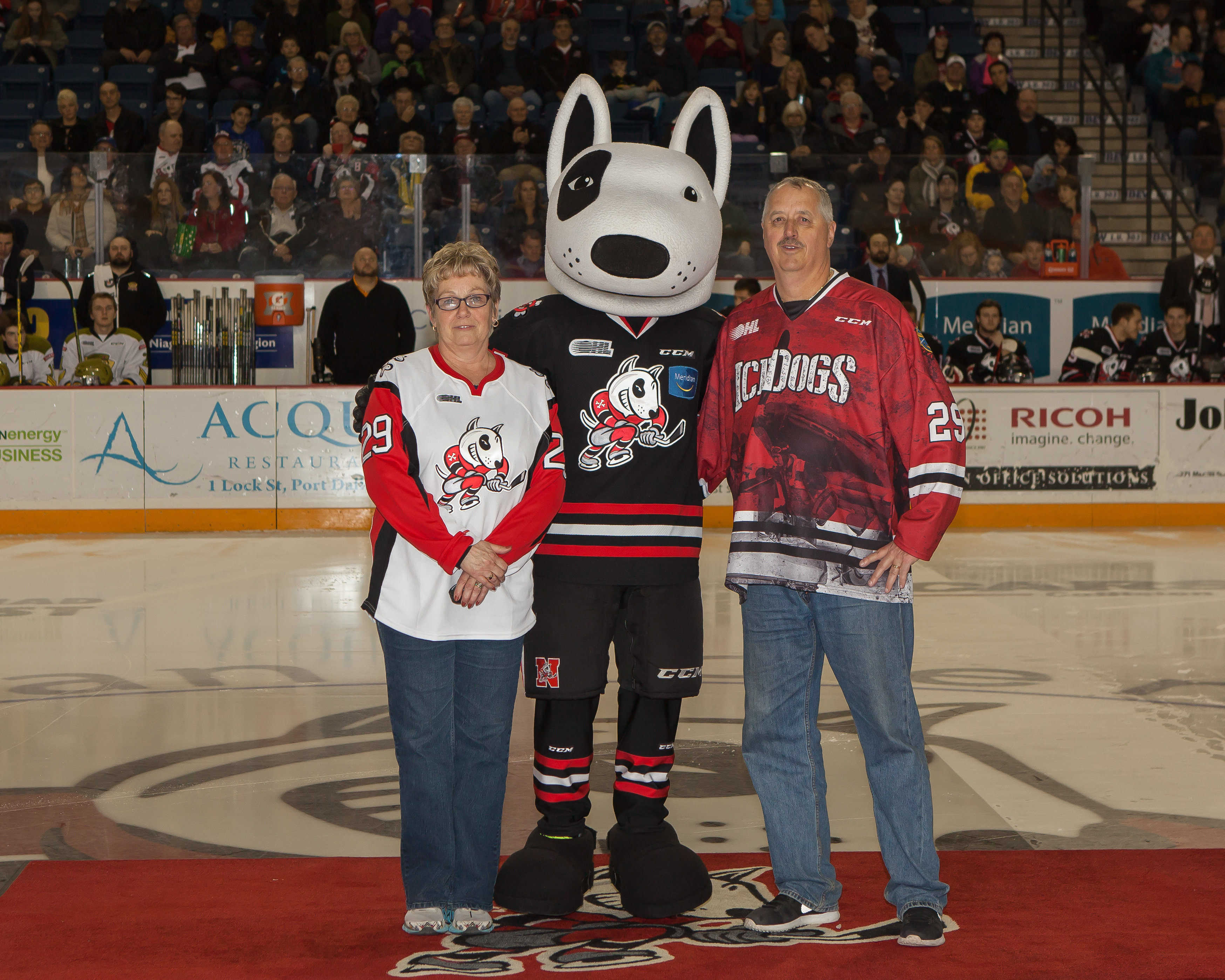An Interview with Stephen Harper - Niagara IceDogs