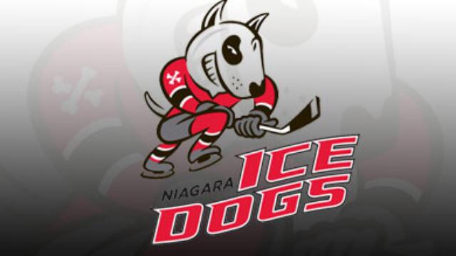 IceDogs Announce 2016-2017 Regular Season Schedule - Niagara IceDogs
