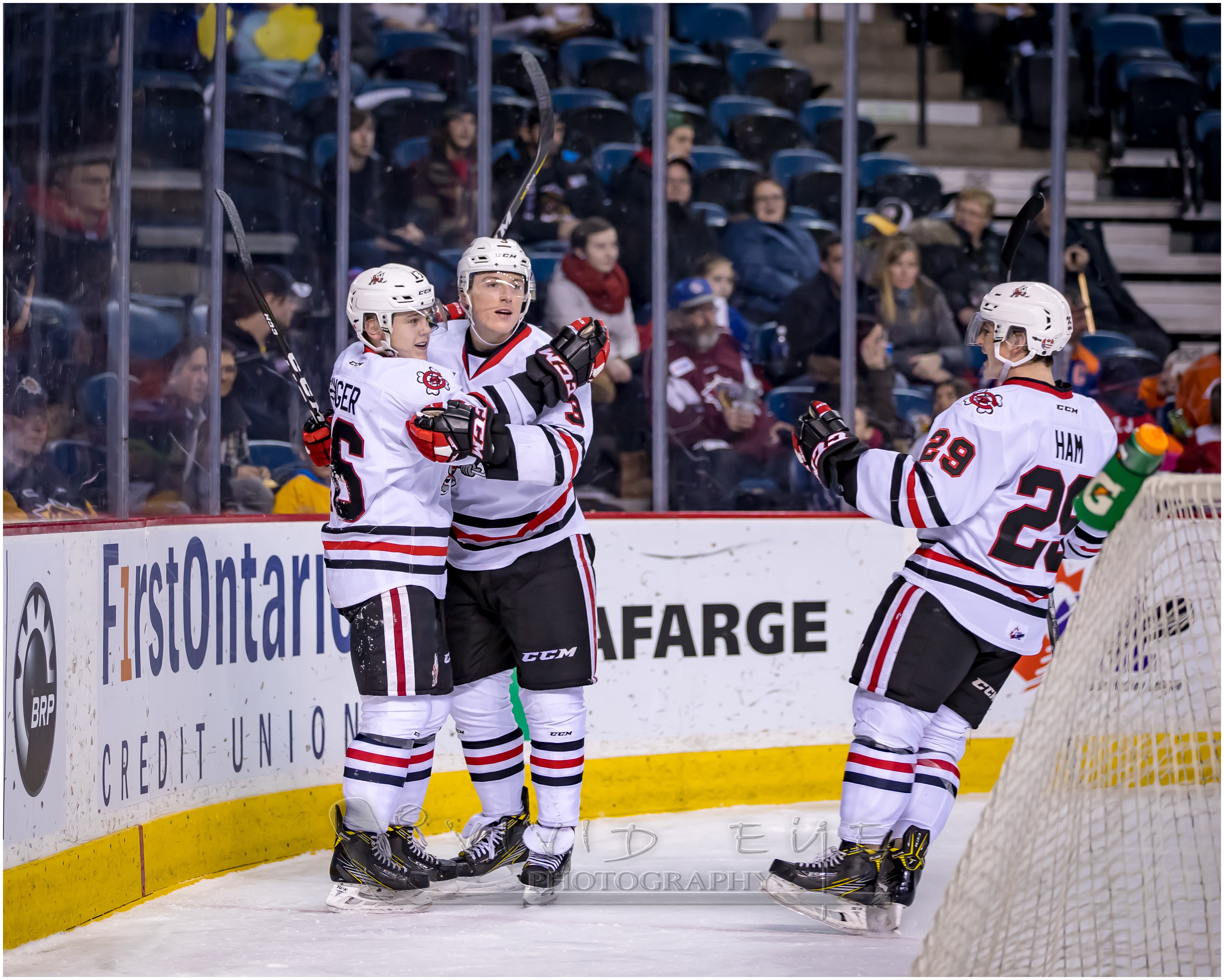 IceDogs Lose to Otters - Niagara IceDogs