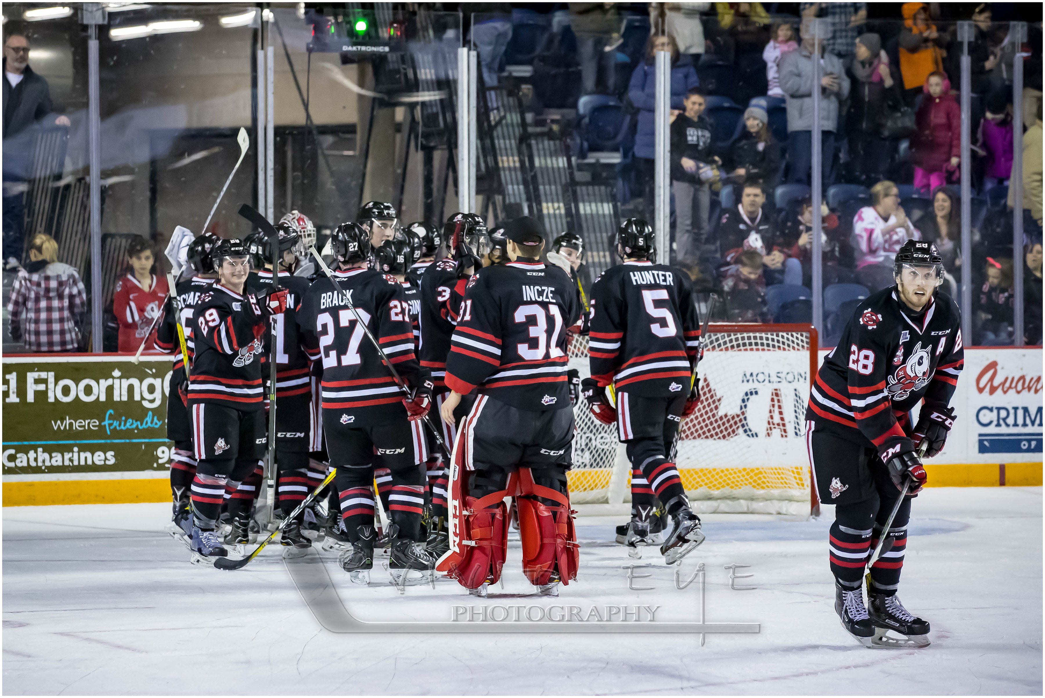 IceDogs Secure Two Massive Points in Rivalry Game vs BullDogs - Niagara ...