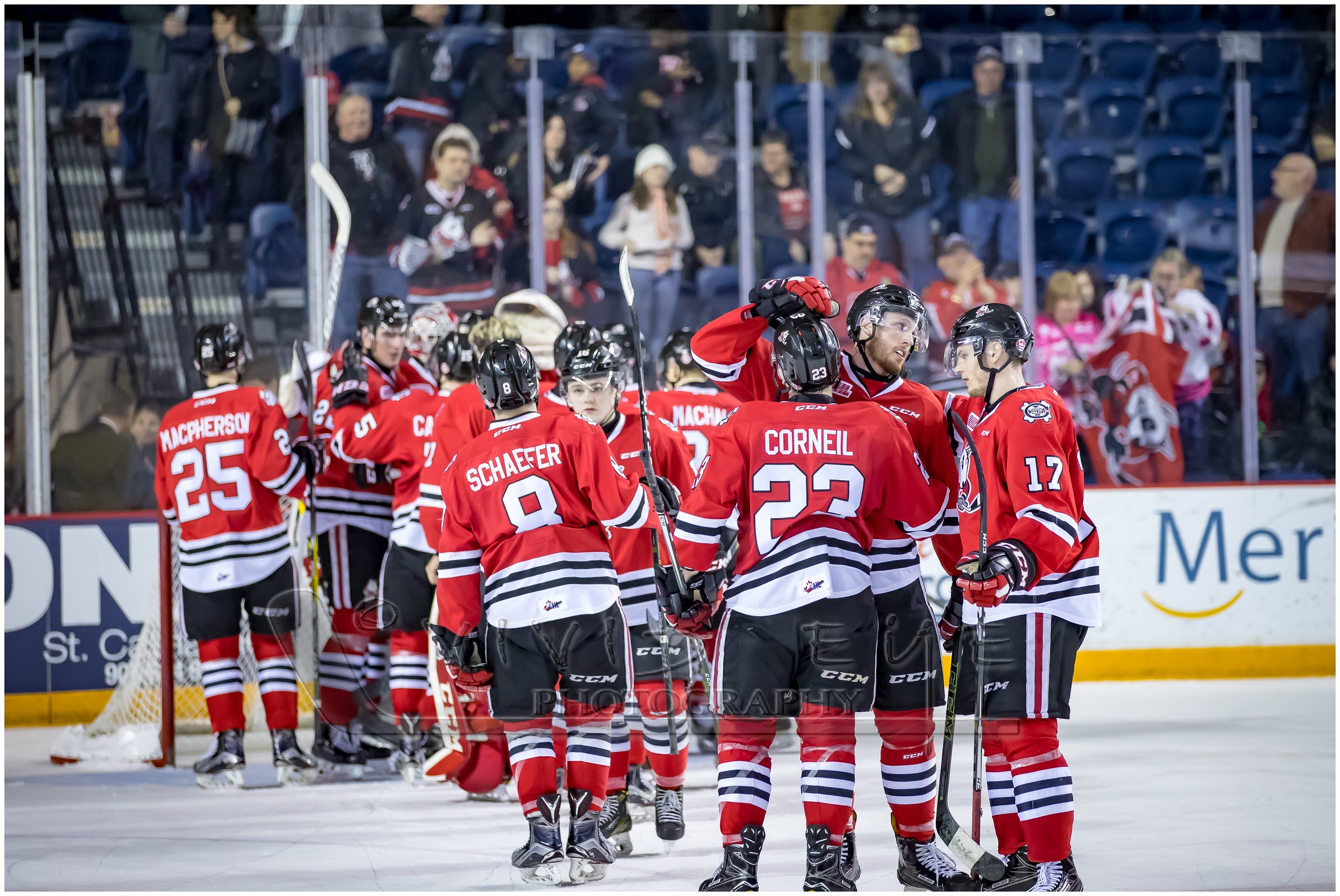 IceDogs Announce 2017-2018 Regular Season Schedule - Niagara IceDogs
