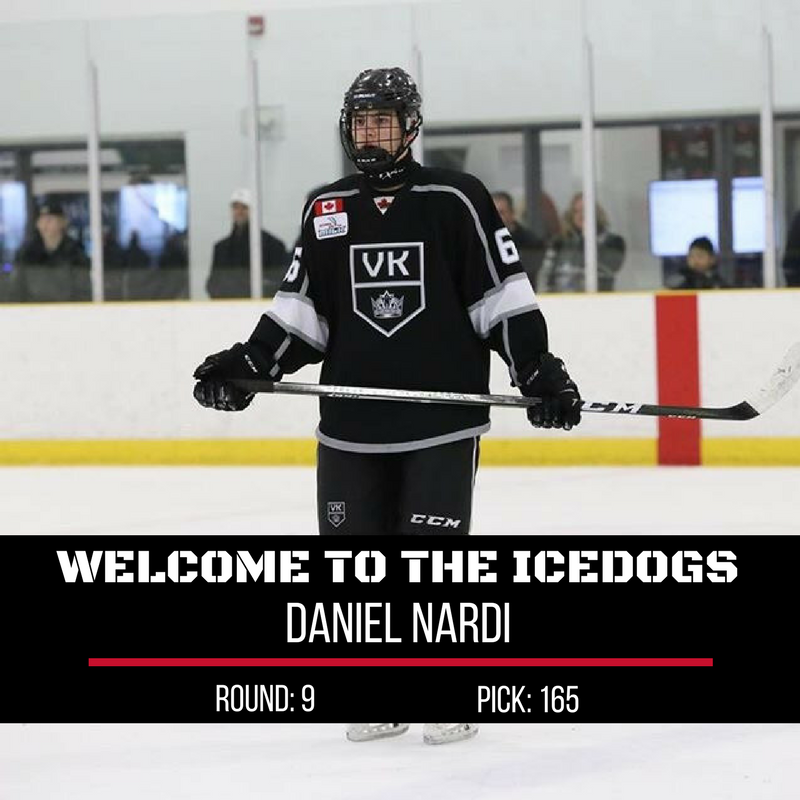 Meet the Pups: Daniel Nardi - Niagara IceDogs