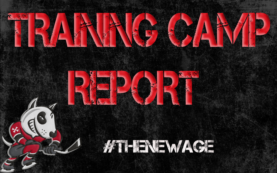 Training Camp Schedule Released - Niagara IceDogs