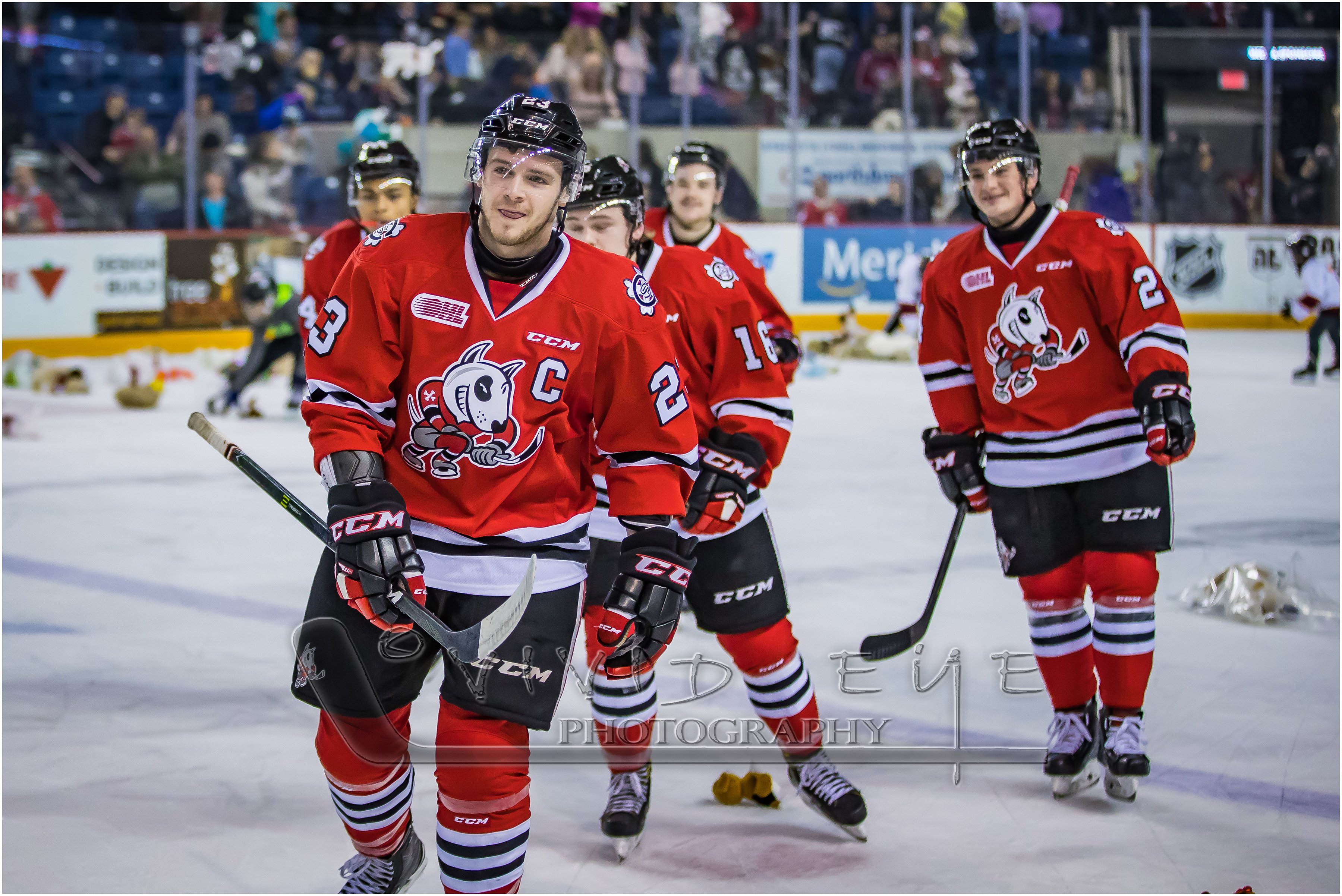 GAME RECAP: IceDogs end 2017 with huge 7-3 win over the Hamilton ...