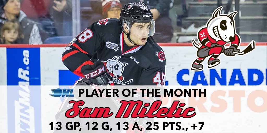 ANNOUNCEMENT | Miletic named OHL Player of the Month - Niagara IceDogs