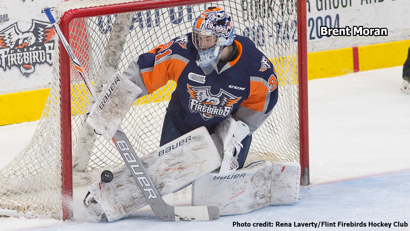 Troops get goalie Moran from Flint - North Bay Battalion