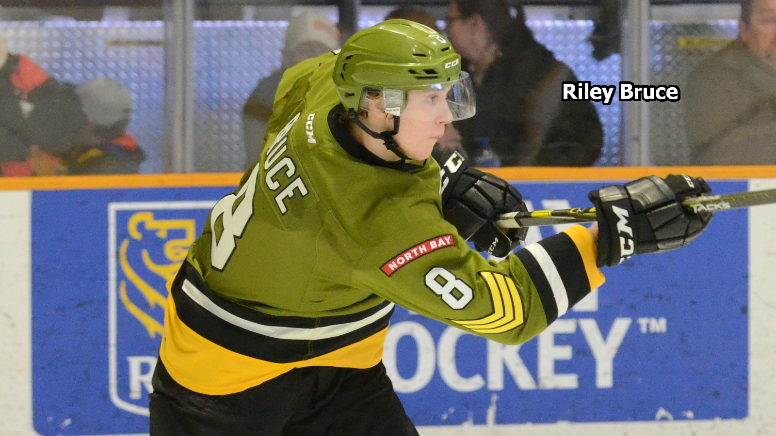 Bruce named captain ahead of Troops' opener - North Bay Battalion