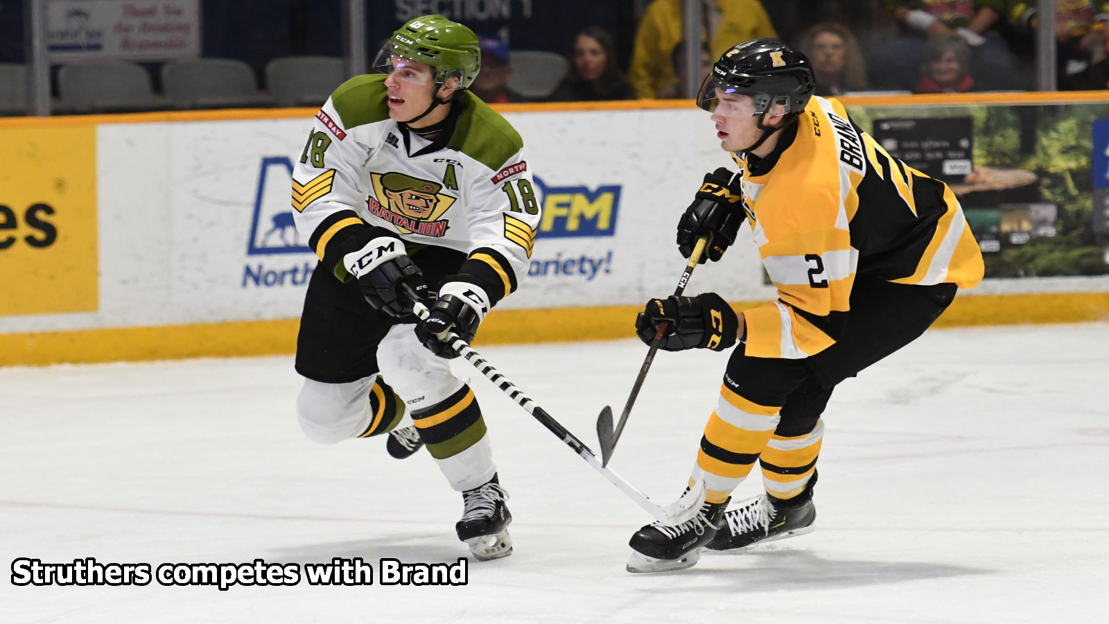 Brazeau's seven points tie record - North Bay Battalion