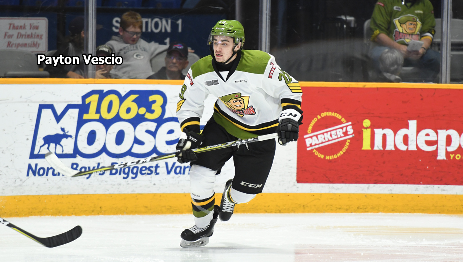 Pick acquired for Vescio - North Bay Battalion