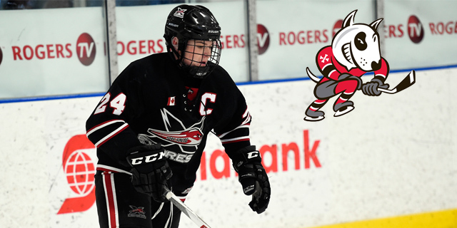 Liam Ham Commits to IceDogs - Ontario Hockey League