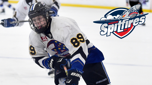 Tyler Angle Commits to Spitfires - Ontario Hockey League