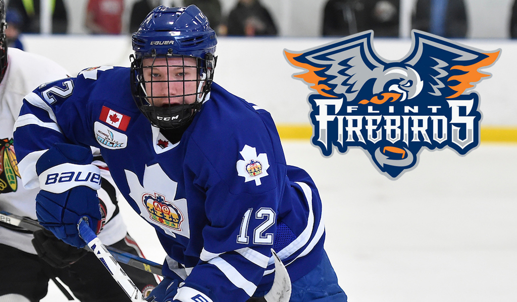 Kyle Harris commits to Firebirds - Ontario Hockey League