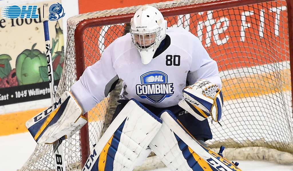 Joe Ranger commits to Steelheads - Ontario Hockey League